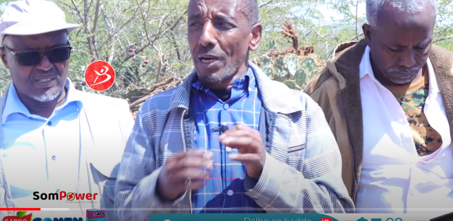 DAAWO: Warshada Kabista Ninkii Ibsadaa Ku Dhiman, Muuse Bixina ... DAAWO: Warshada Kabista Ninkii Ibsadaa Ku Dhiman, Muuse Bixina ...